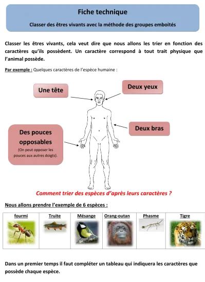 Fiche technique Classer des êtres vivants avec la méthode des groupes