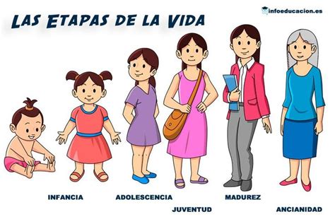 Pin De Karina En Trabajos Etapa De La Ni Ez Etapas Del Desarrollo