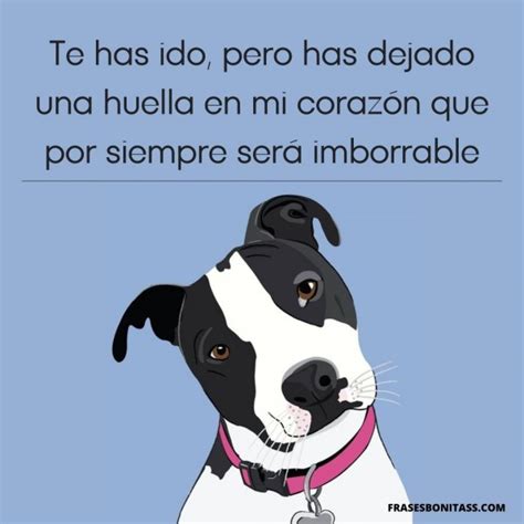 Intermitente Irregularidades Mont Culo Mensaje De Despedida A Mi Perro