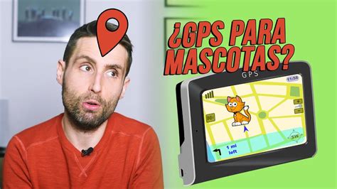 Guía para elegir el mejor GPS sin cuota mensual para tu gato Agps