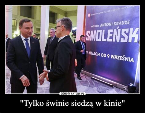 Tylko świnie siedzą w kinie Demotywatory pl