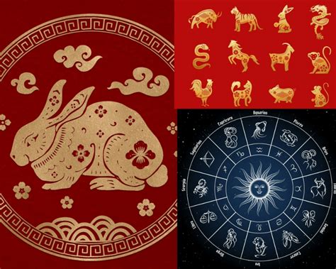 Horoscopul Chinezesc Pentru Ziua De Joi 21 Decembrie 2023 Zodia Care