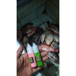 Jual Essen Ikan Nila Mujaer Esen Ikan Mas Jedud 15ml 30ml Shopee
