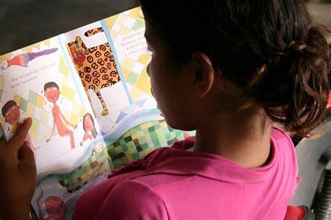 10 livros de autores indígenas para ler na semana da Amazônia CicloVivo