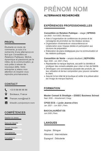 Modele Cv Gratuit Libre Office Avec Les Mod Les De Cv Open Office Vous