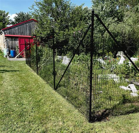 Ten Deer Fence Solutions For Gardensdeer Fence For Garden The Benner