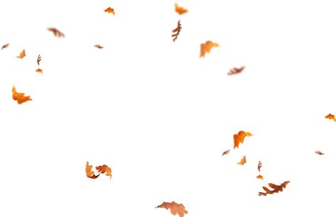 Leafs Png Brown Autumn Leaves PNG Image PurePNG Free Transparent