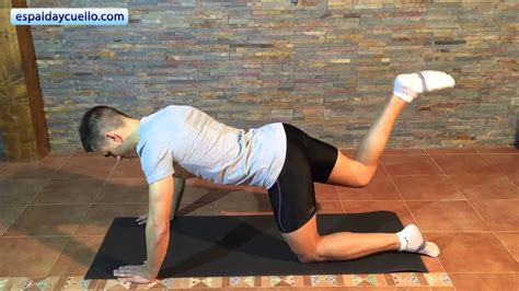Extensiones De Cadera En Cuadr Pedo Con Rodilla En Flexi N Youtube