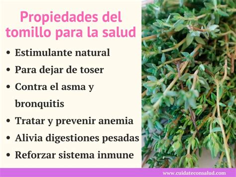 10 Propiedades del Tomillo para la Salud Guía