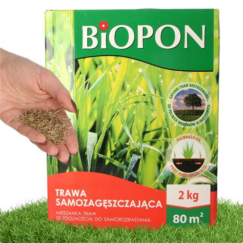 TRAWA SAMOZAGĘSZCZAJĄCA Nasiona Trawy 2kg Uniwersalna ODPORNA DEPTANIE