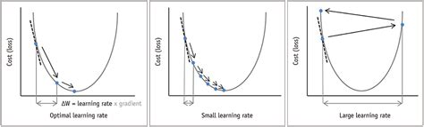 how to use learning rate annealing with neural networks