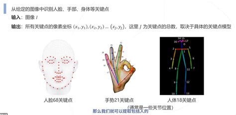 OpenMMLab AI实战营第二期 课程笔记 Class 2人体姿态估计与MMpose 人体姿态估计openlab CSDN博客