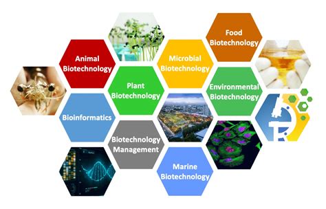 Microbial Biotechnology BBTech