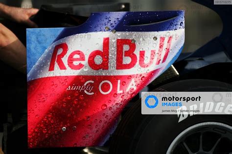 Red Bull Racing RB4 Rear Wing Formula One World Championship Rd 13
