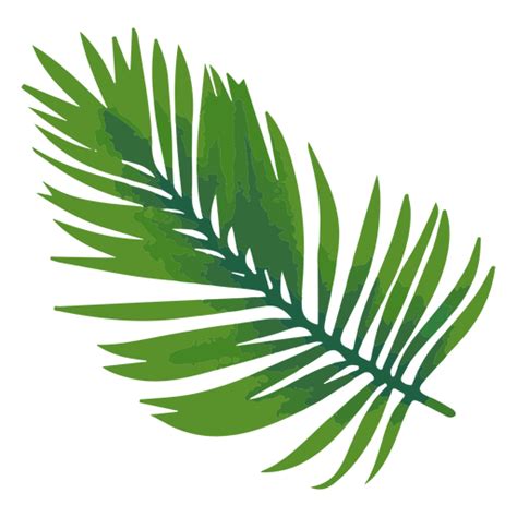 Design PNG E SVG De ícone De Ramo De Palmeira Para Camisetas