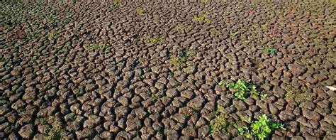 O que são regiões de clima árido e semiárido um panorama sobre essas