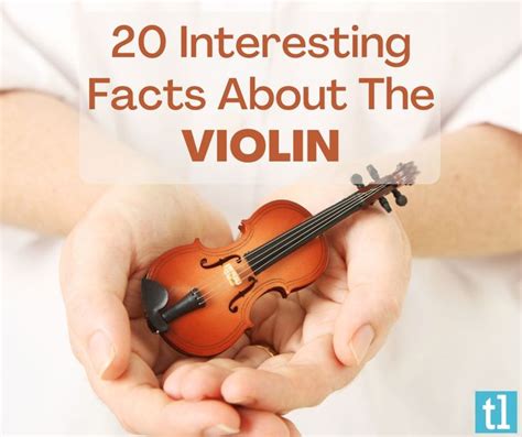 20 INTERESTING FACTS ABOUT THE VIOLIN Fun Facts Violin Facts