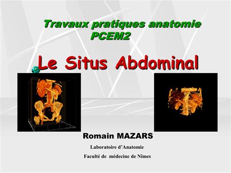 La Cavité Abdominale et ses Limites