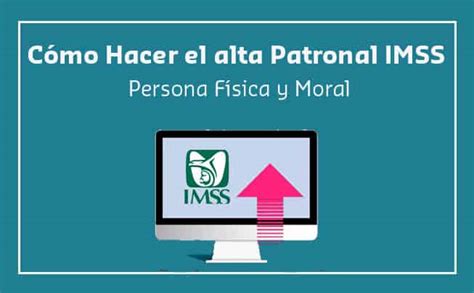 Requisitos Para Alta Patronal Al Imss Image To U