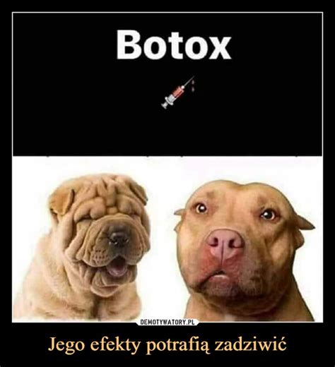 Ekokretyni przykleili się do podłogi w salonie Volkswagena Nie
