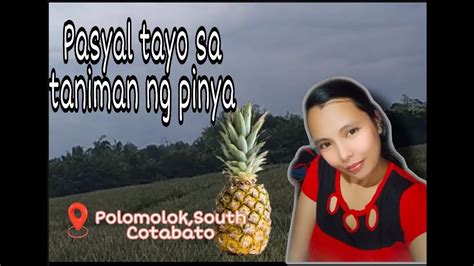 Pasyal Tayo Sa Taniman Ng Pinya Polomolok South Cotabato YouTube