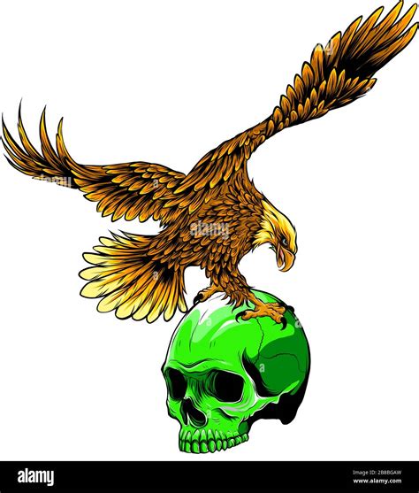 Top 107 Imagen Aguila Mexicana Dibujo Abzlocal Mx
