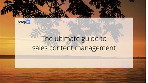 The Ultimate Guide To Sales Content Management Scoop It Blog