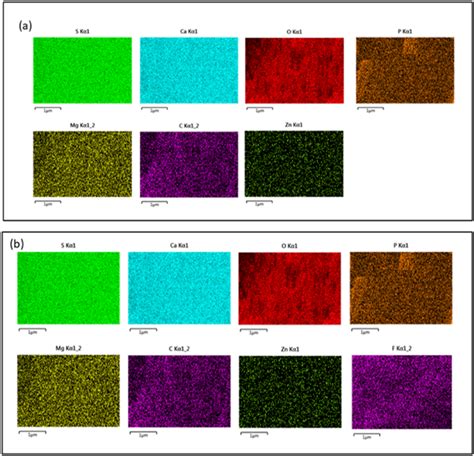 Energy Dispersive X Ray Spectroscopy Edx Elemental Mapping For A