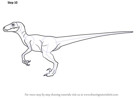 Learn How To Draw A Velociraptor Dinosaurs Step By Step Drawing