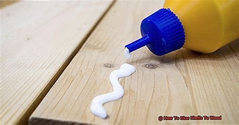 How To Glue Shells To Wood Glue Things