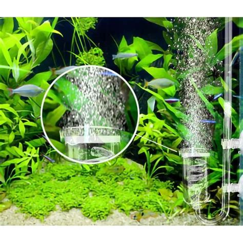 CO2 Diffuseur Gazon Aquarium Verre Spirale CO2 Atomiseur Diffuseur