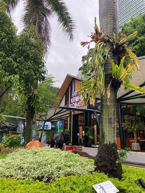 Cabang Baru Di Scbd Review Lisss Di Restoran Imperial Kitchen