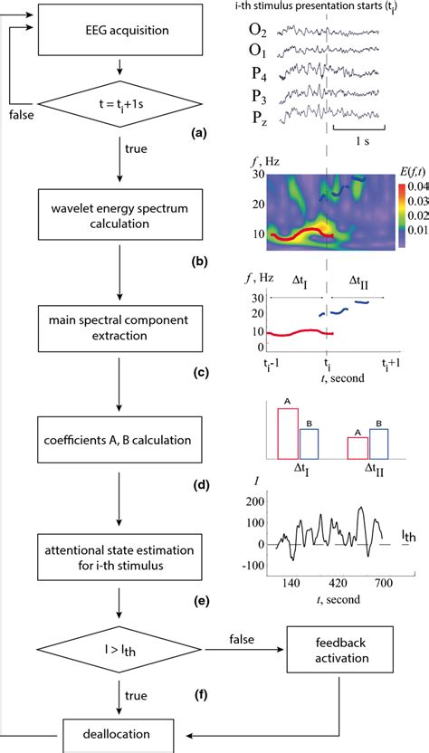 algorithm flowchart a eeg acquisition and a typical set of eeg download scientific diagram