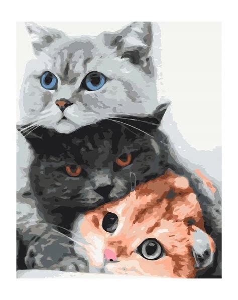 MALOWANIE PO NUMERACH KOTY MRUCZĄ 40X50CM 13435055074 Allegro pl