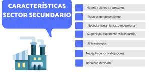 Qué es el sector primario secundario y terciario con EJEMPLOS y VÍDEO
