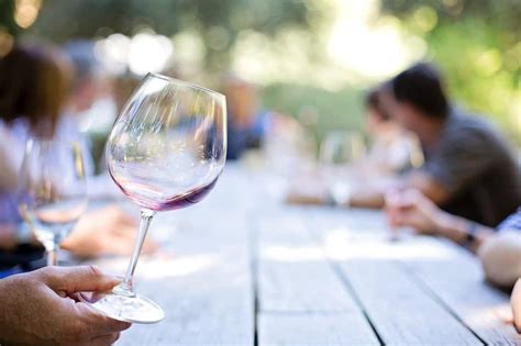 Las Mejores Copas De Vino Para Tener En Casa