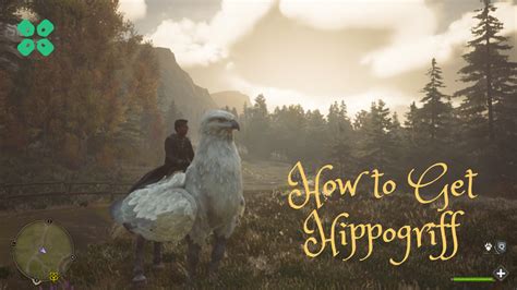 Easy Steps To Find And Get A Hippogriff In Hogwarts Legacy
