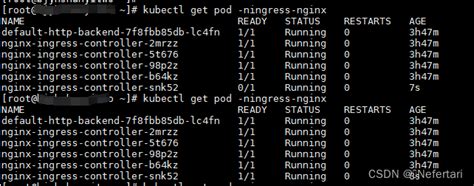K Srke K S Ingress Nginx Ingress Controller Port Is Already