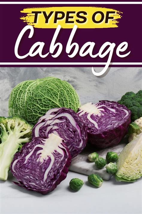 Types Of Cabbage Different Varieties Insanely Good