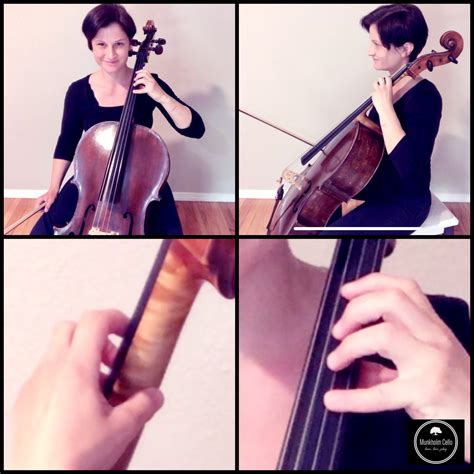 A Beginners Guide To The Cello Part The Left Hand Munkholm Cello