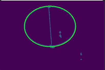 How To Detect Ellipse And Remove Outliers In Image Using Opencv Python