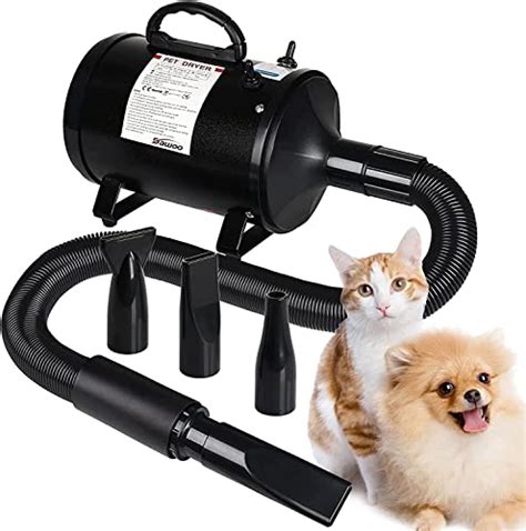 Pulseur Chien Les Meilleurs Produits Dans La Comparaison Guide