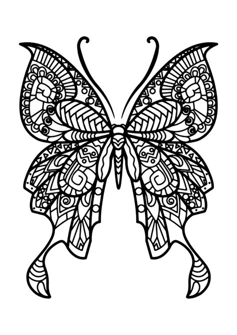 Borboleta Detalhada Para Colorir E Pintar Imprimir Desenhos