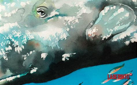 Historia de una ballena blanca Luis Sepúlveda Recomendación Grupo