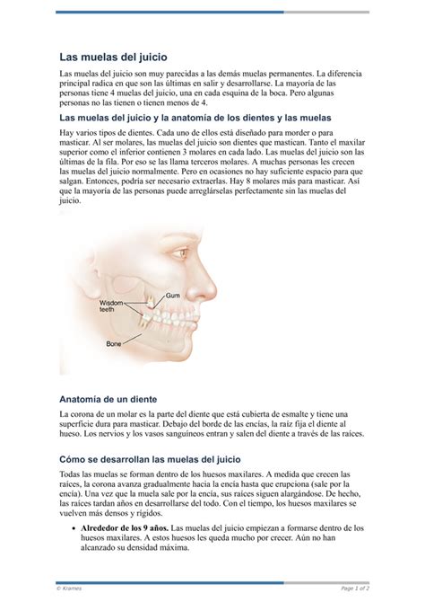 PDF Las Muelas Del Juicio HealthClips Online