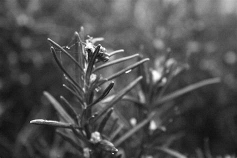 Don T Know Why I Waited Til I Saw The Sun I Don T Know Wh Flickr