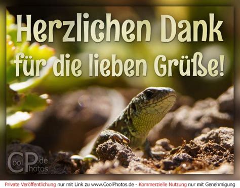 CoolPhotos de Danke Herzlichen Dank für lieben Grüße