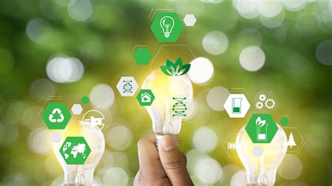 Empreendedorismo Sustent Vel Contruindo Neg Cios Ecol Gicos