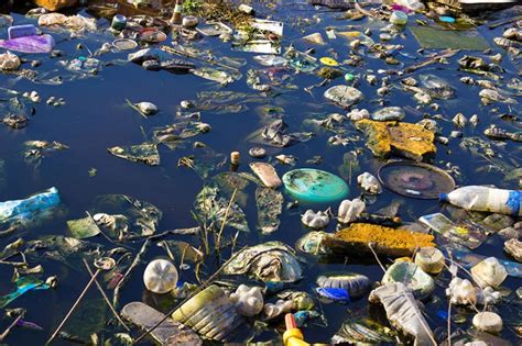 Effects Of Water Pollution