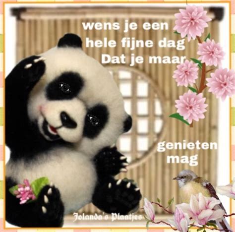ᐅ goedemorgen knuffel Fijne Dag Leukeplaatjes nl